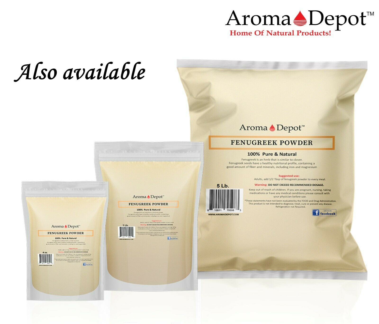 2 Pack Rose of Jericho Flower Resurrection Flower