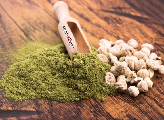 Moringa KERNEL 2 lb. JAR 3000 Shelled Moringa Oleifera Seeds