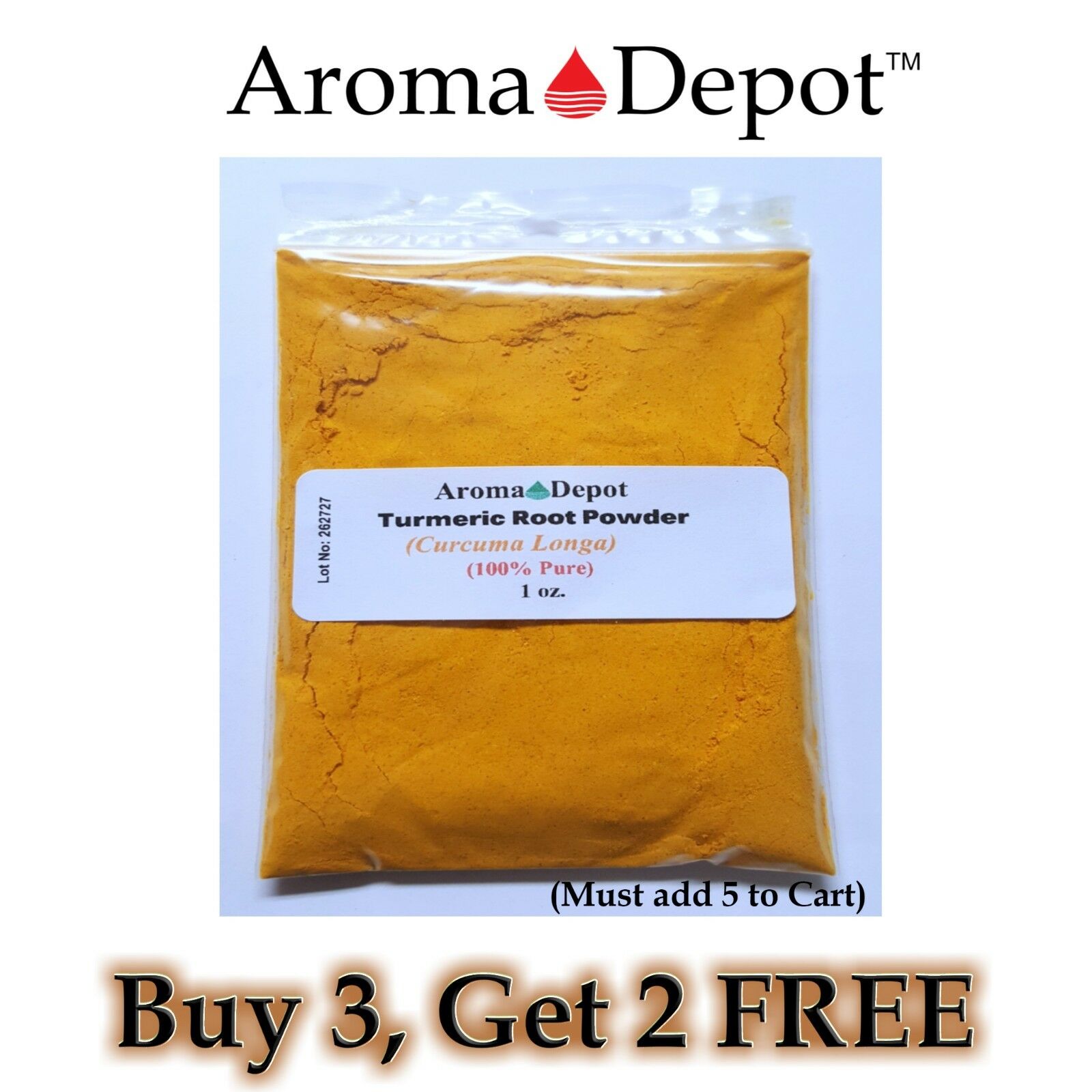 Rose of Jericho Flower Resurrection Rose Flor de Peña Selaginella