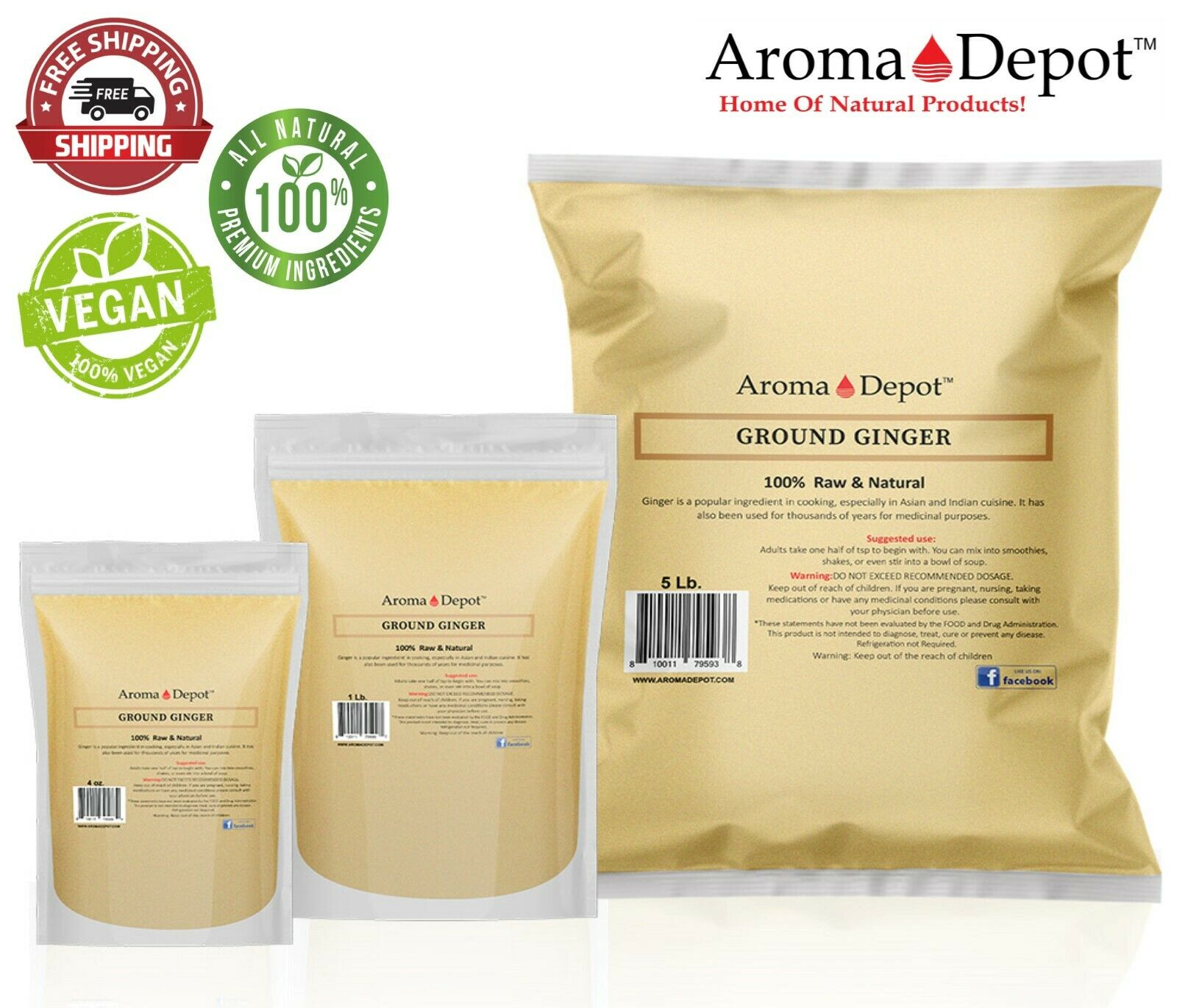 Rose of Jericho Flower Resurrection Rose Flor de Peña Selaginella