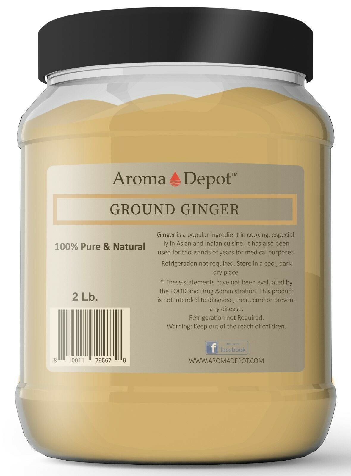 Rose of Jericho Flower Resurrection Rose Flor de Peña Selaginella