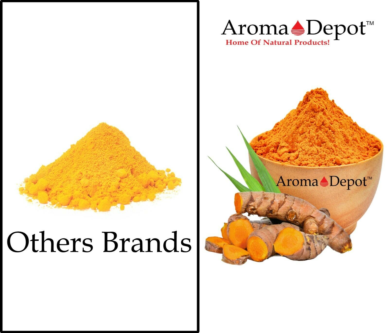 Rose of Jericho Flower Resurrection Rose Flor de Peña Selaginella