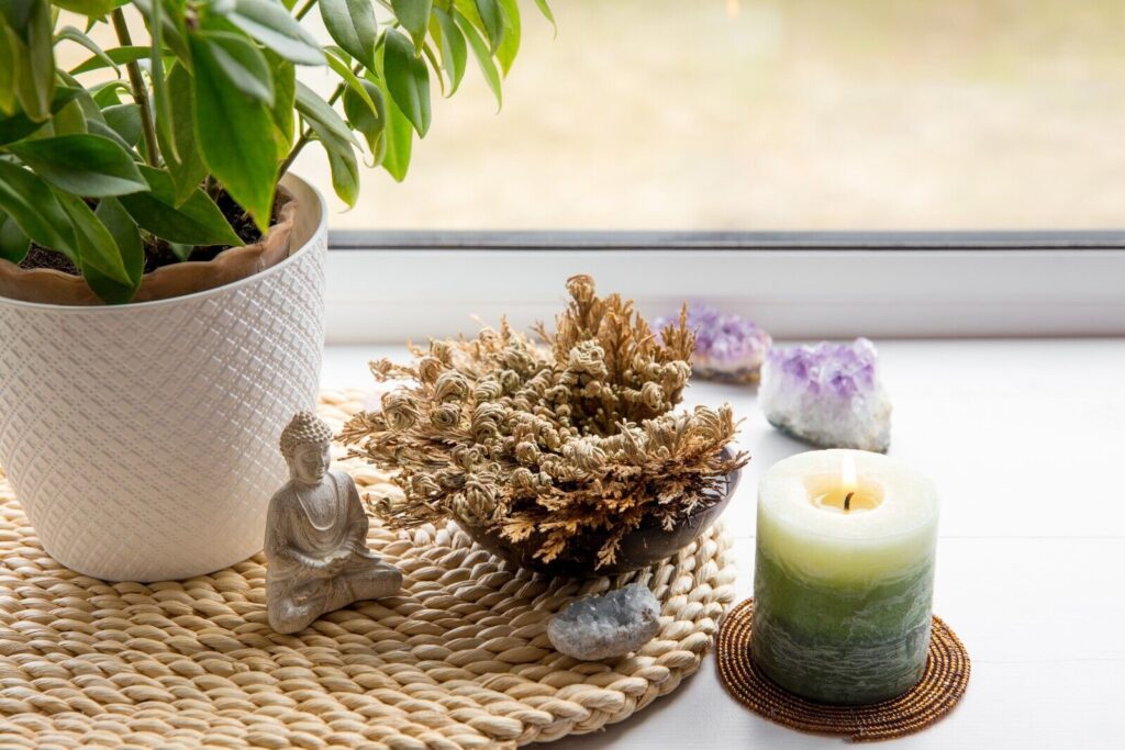 Rose of Jericho Flower Resurrection Rose Flor de Peña Selaginella