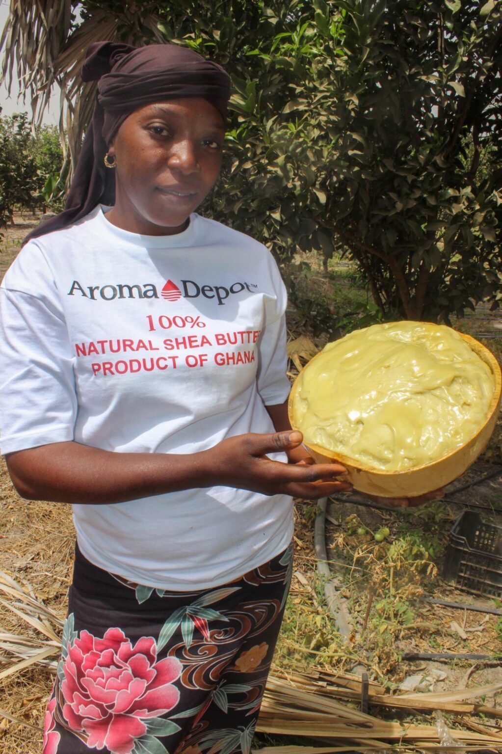 Raw African Shea Cocoa Mango Butter Blend Natural Cold Pressed